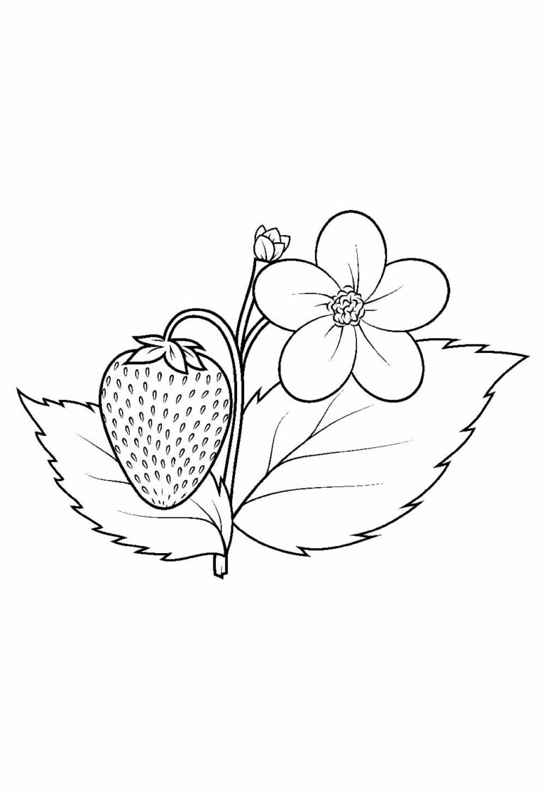 Desenhos de Morango para colorir - Bora Colorir