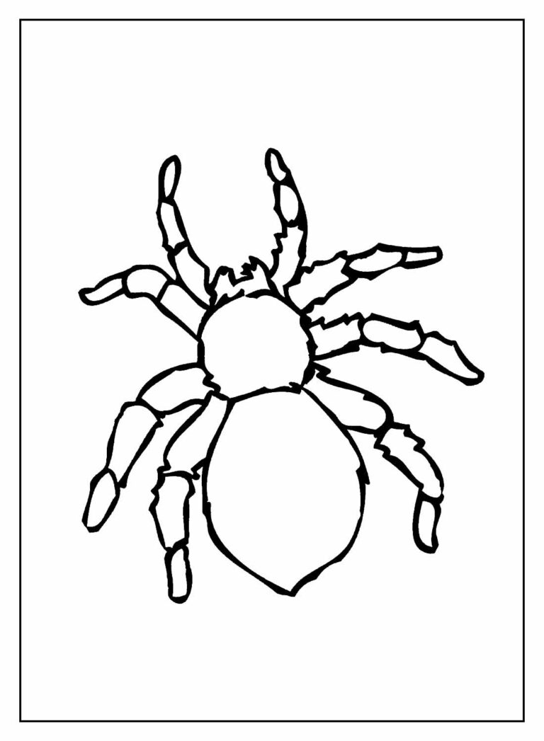 Desenhos de Insetos para colorir - Bora Colorir