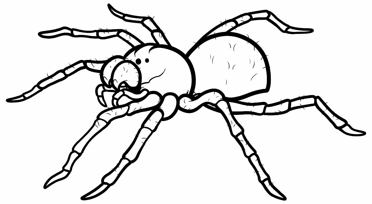 Desenhos de Insetos para colorir - Bora Colorir