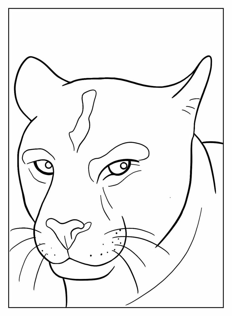Desenhos de Pantera para colorir - Bora Colorir