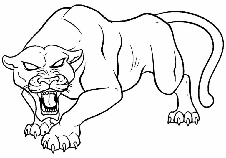 Desenhos de Pantera para colorir - Bora Colorir