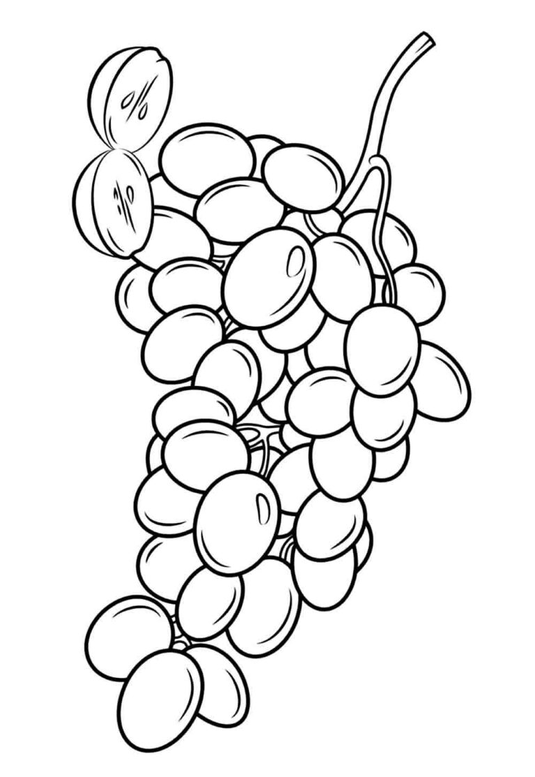 Desenhos de Uva para colorir - Bora Colorir