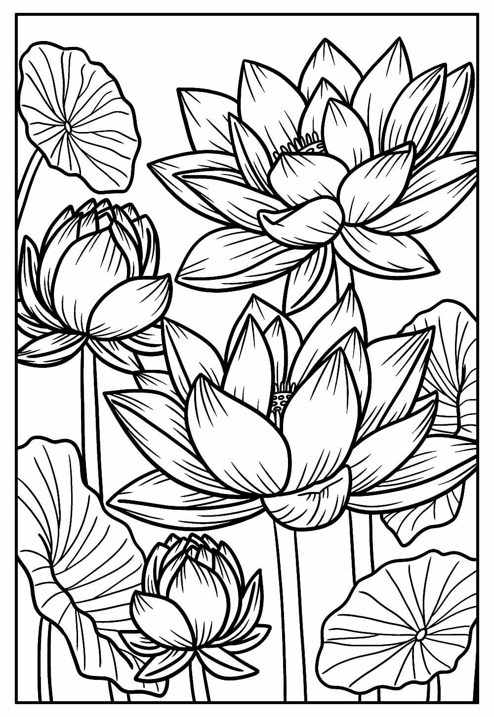 Desenhos De Flor De Lótus Para Colorir Bora Colorir