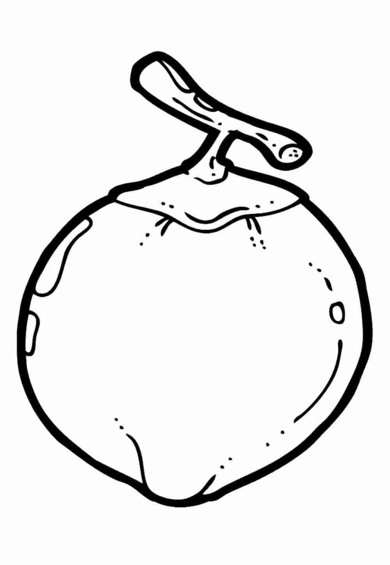 Desenhos de Coco para colorir - Bora Colorir