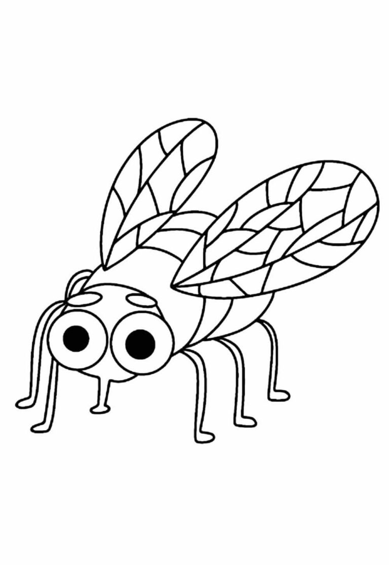 Desenhos de Mosca para colorir - Bora Colorir