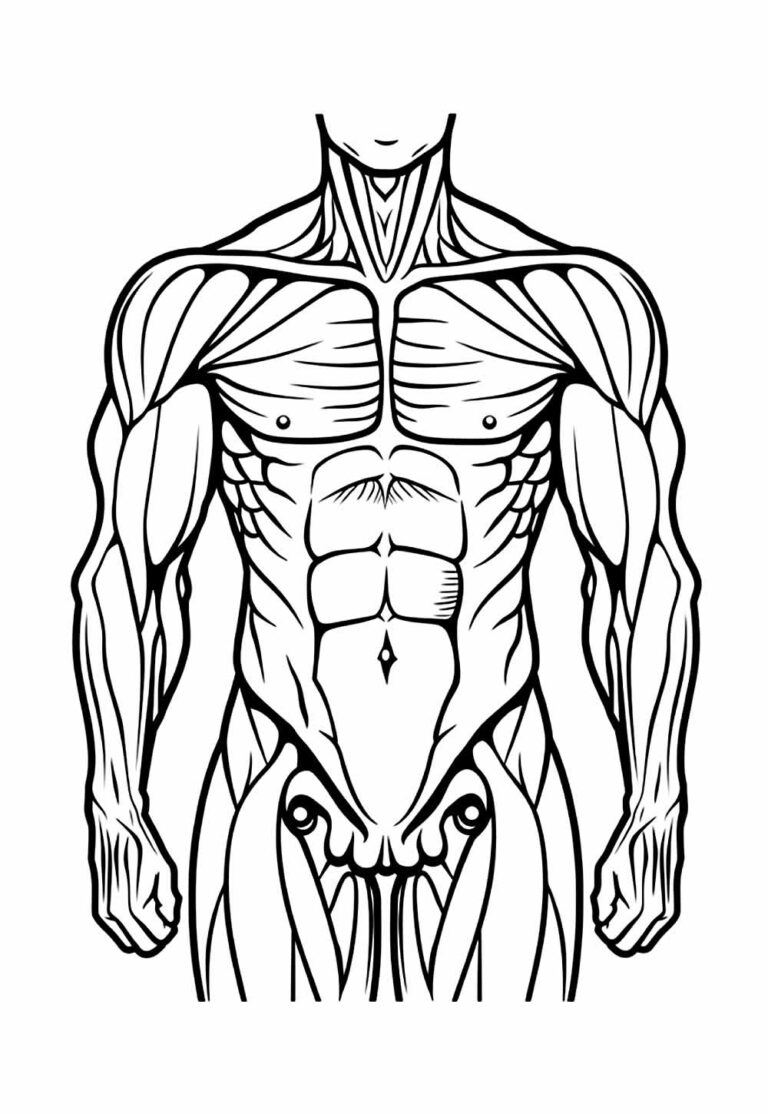 Desenhos do Corpo Humano para colorir - Bora Colorir
