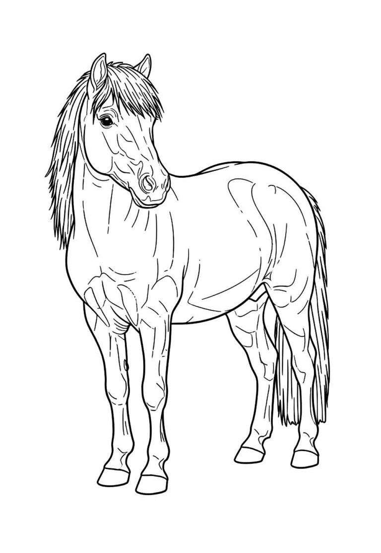 Desenhos de Pônei para colorir - Bora Colorir